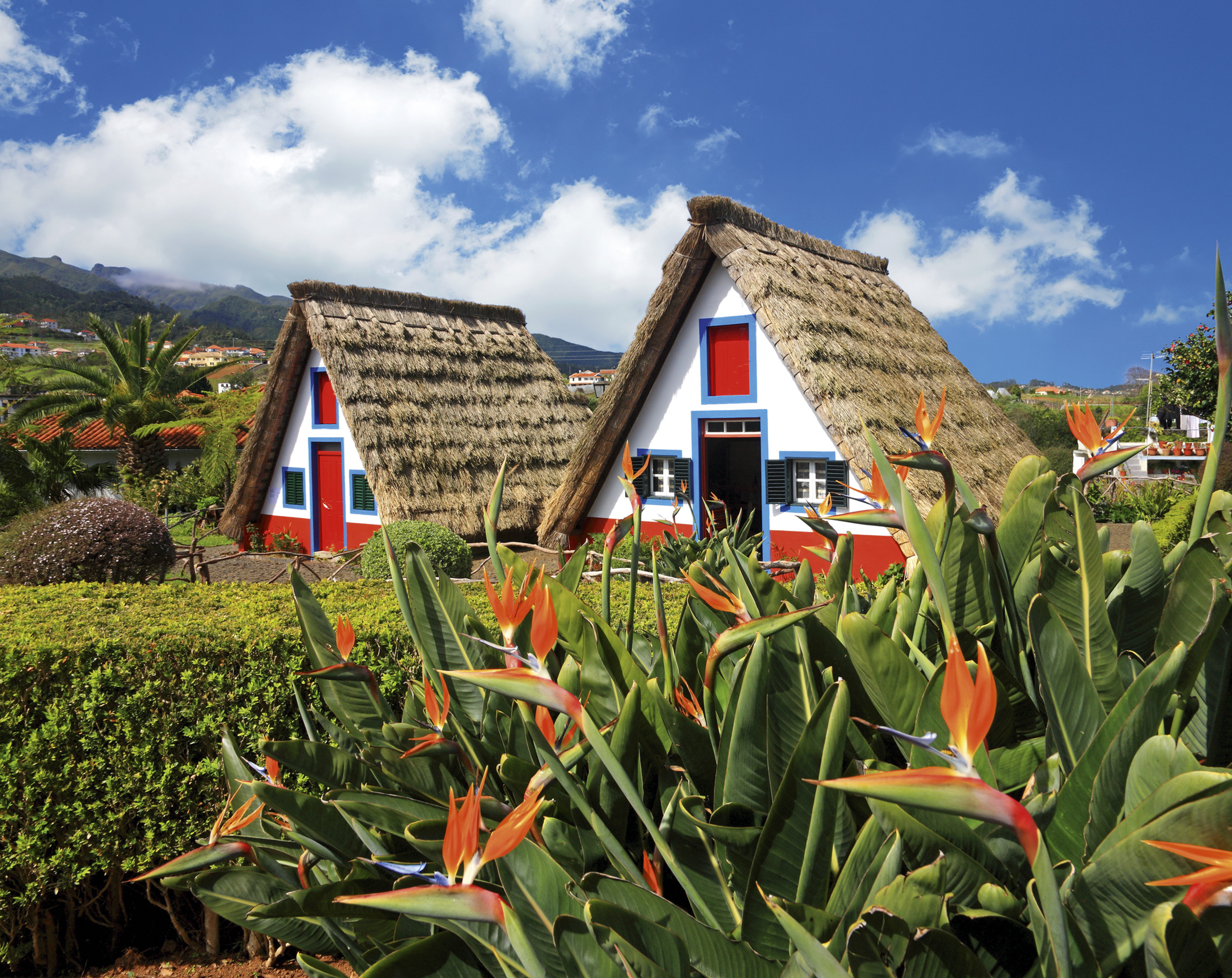 Atlantic coast, Azoren & Madeira | Exclusive Sailing Cruises | SEA ...